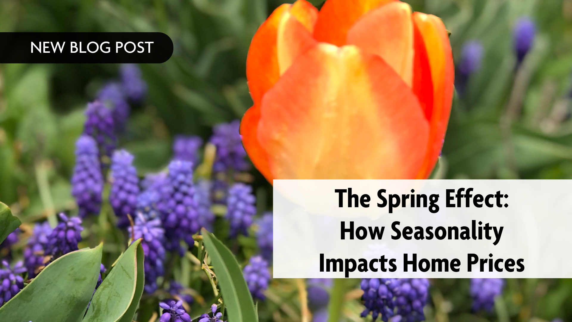 The Spring Effect: How Seasonality Impacts Home Prices